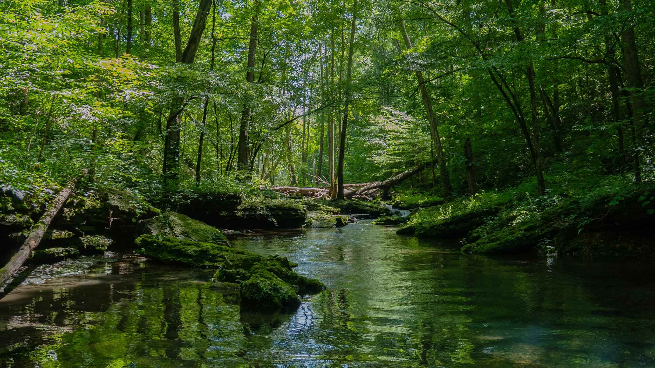 GC Collaborative Community-based Water Management Project | PTT Global ...